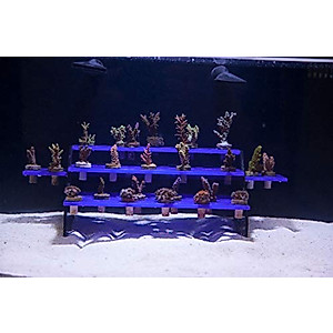 Innovative Marine Reef Rack - Coral Frag Rack (102)