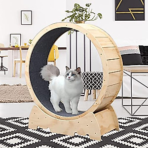Generic Pet Cats Running Wheel Indoor Treadmill Climbing Interactive Toys Exercise Scratcher Protect Furniture Wheel for Workout Game , MultilayerBoard106cm