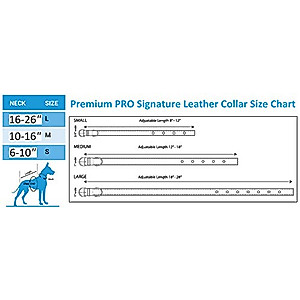 Pets First Tough Leather Pet Collar NFL SAN Francisco 49ERS Premium Dog Collar, Limited Edition, Size Medium. Best & Strongest Heavy-Duty Dog Collar!, Medium (16-20"" Long & 1"" Wide)