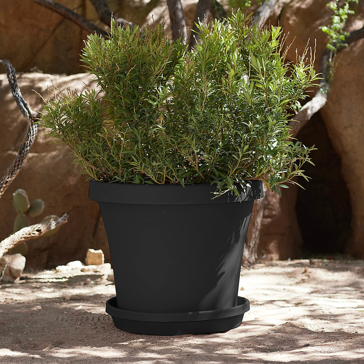 Bloem Terra Pot Planter: 24" - Black - Durable Resin Pot, for Indoor and Outdoor Use, Gardening, 16 Gallon Capacity, Saucer Sold Separately