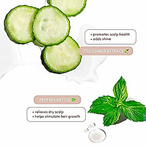 Mizani Scalp Care Dandruff Conditioner | Pyrithione Zinc | Controls Scalp Flaking & Itching | For Curly Hair | 16.9 Fl. Oz