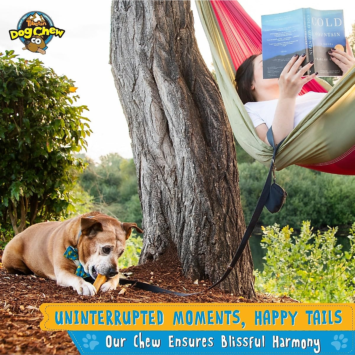 Tibetan Dog Chew Yak Cheese Sticks - Natural Treats for Small Dogs, Longer Lasting, Digestible, Promotes Dental Health, Rawhide, and Grain-Free, Ideal for Aggressive Chewers, 5-Pack