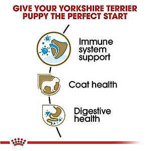 Royal Canin Breed Health Nutrition Yorkshire Terrier Puppy Dry Dog Food, 2.5 lb