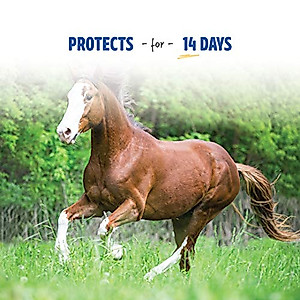 Manna Pro Opti-Force Fly Spray | Sweat Resistant for Horses and Ponies | Provides Repellency and Quick Knockdown from Biting and Nuisance Flies | 1 Gallon