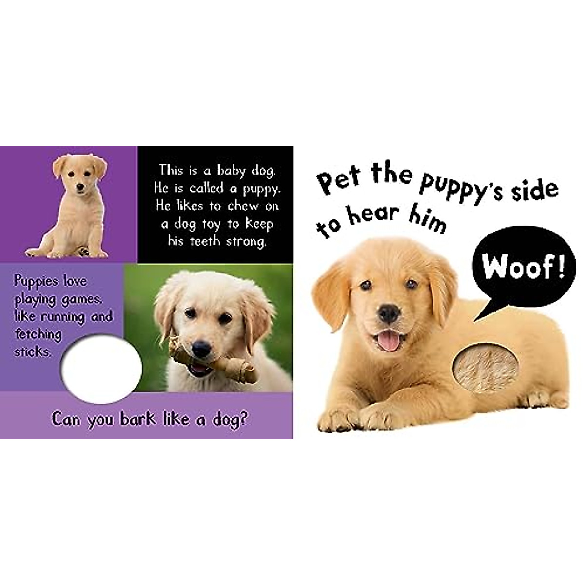 Noisy Baby Animals: Includes Six Sounds! (My First)