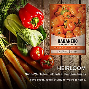 Orange Habanero Pepper Seeds for Planting Heirloom Non-GMO Hot Habanero Peppers Plant Seeds for Home Garden Vegetables Makes a Great Gift for Gardeners by Gardeners Basics