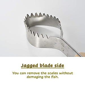 Kanda Fish Scaler Remover Tool Scraper 2Way Fast Cleaning Fish Skin, Stainless Steel with Wooden Handle, Easy and No Mess, Made in Japan