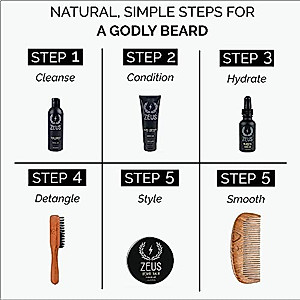 ZEUS Premium Beard Care Kit – Complete Grooming Set, Beard Wash Combo, Beard Oil & Balm, Beard Brush & Comb (Verbena Lime)