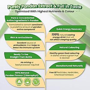 3 X Natural Color Chlorophyll of Pandan Leaf Extract Concentrate for Bakery & Beverage (1000g) Standardized Plant Extract of The East, Natural Asian Gourmet Baking Ingredient