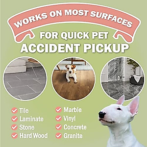 Sprinkle & Sweep - Pet Accident Cleanup, Eliminates Strong Odors, Cleans and Deodorizes Pee, Poo, Vomit, Diarrhea, Non-Toxic, Potty Training, Dog and Cat Odor Eliminator, Quick Pet Mess Cleanup
