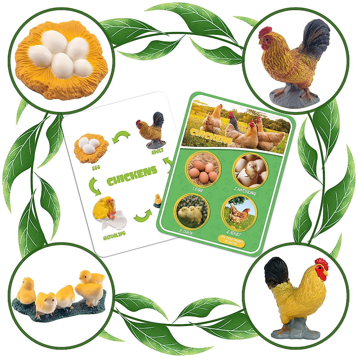 Life Cycle Figures of Frog, Chicken, Sea Turtle, Butterfly, Wasp, Locust, Science Toys kit, Animal Figures for Kids Age 3-12