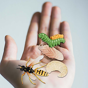 Colcolo 4Pieces Wasp Life Cycle Toy Figures Educational Children's Preschool Props