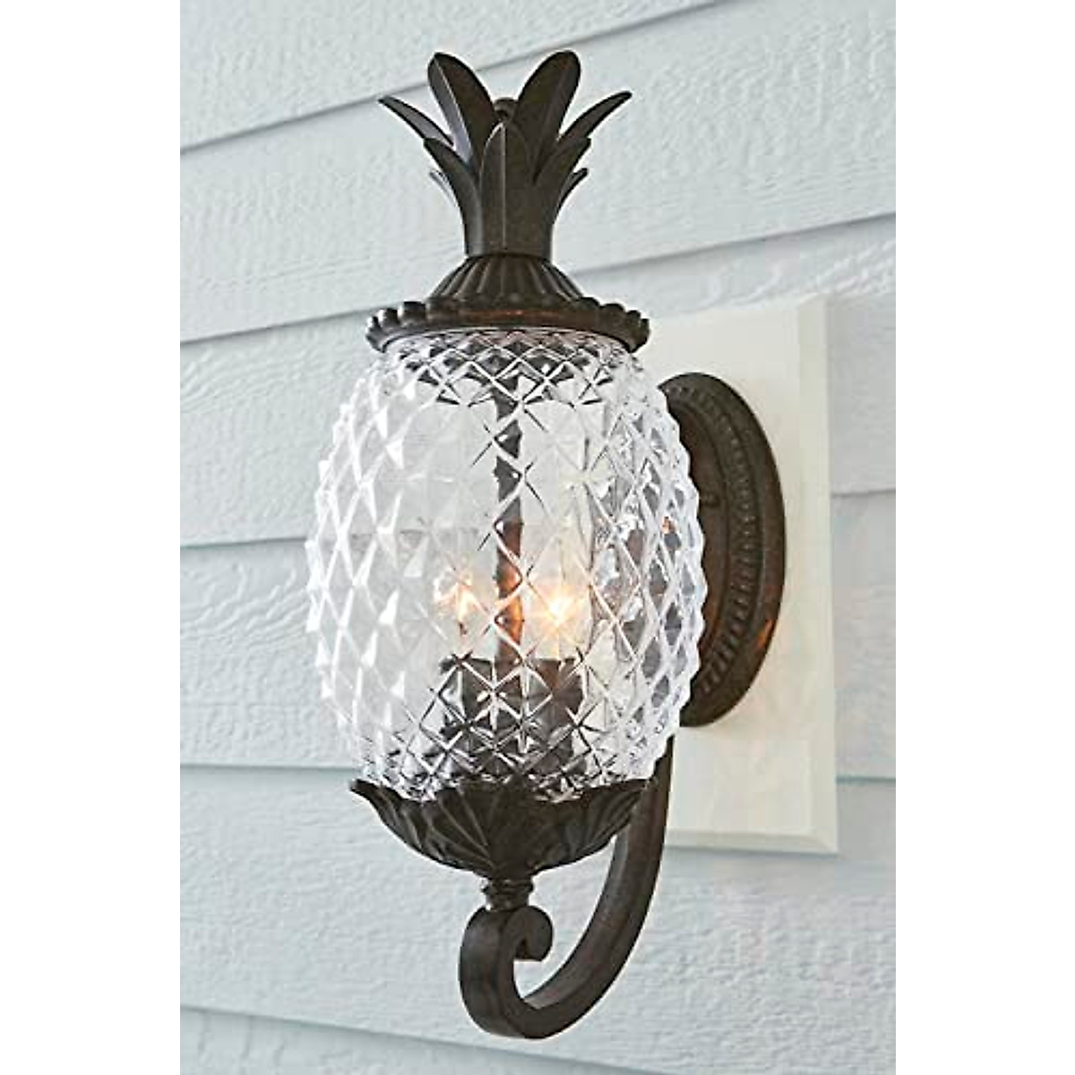Acclaim 7501BC Lanai Collection 2-Light Wall Mount Outdoor Light Fixture, Black Coral