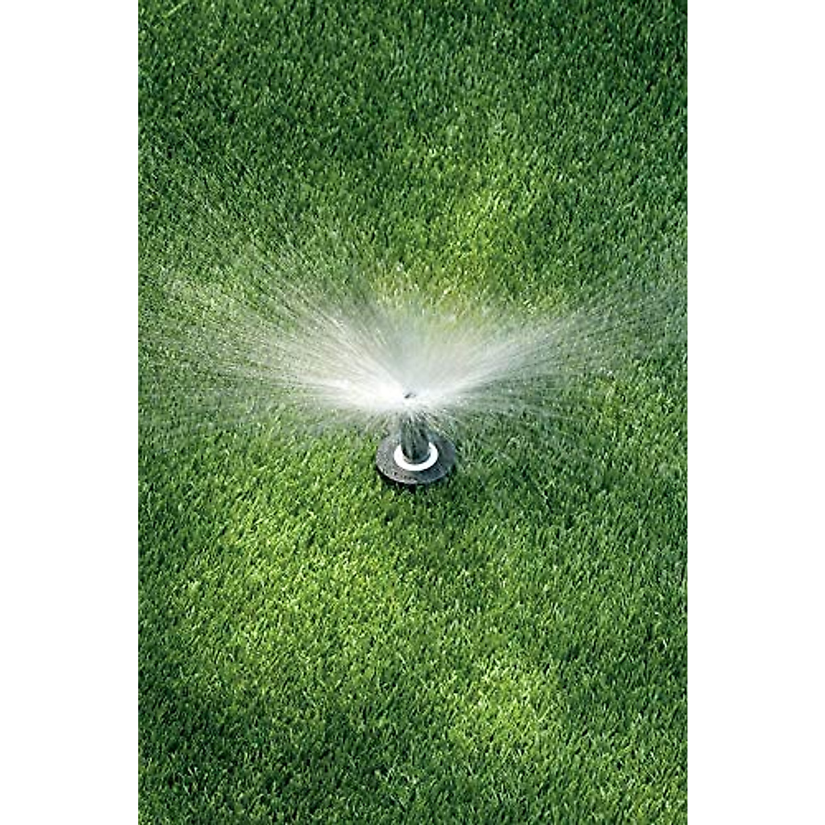 Rain Bird 1802AP8PRS Pressure Regulating (PRS) Professional Pop-Up Sprinkler, Adjustable 0 - 360° Pattern, 6' - 8' Spray Distance, 2" Pop-up Height
