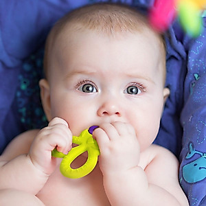SHARE&CARE BPA Free Silicone Fruit Baby Teether Toys Baby Teething Toys with Storage Case, for 3 Months Above Infant Sore Gums Pain Relief(5 Fruit Trees)