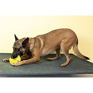 Starmark Treat Ringer FlexGrip UFO Medium