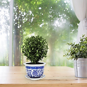 GANAZONO Ceramic Planter Blue and White Planter Flower Pots with Tray Porcelain Bonsai Pot Plant Container Planter for Home Office