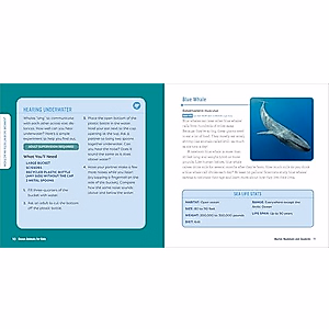 Ocean Animals for Kids: A Junior Scientist's Guide to Whales, Sharks, and Other Marine Life