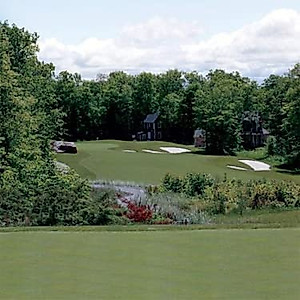Outsidepride Crystal Bluelinks Creeping Bent Grass Putting & Golf Green Seed - 1 LB