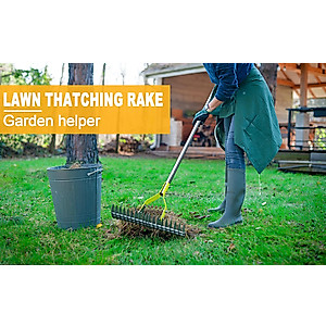 BARAYSTUS Thatch Rake, 15-Inch Wide Lawn Thatching Rake for Cleaning Dead Grass, Efficient Steel Metal Lawn Grass Rake with Stainless Steel Handle, Lawn loosening Soil Rake, 58.5-Inch Length