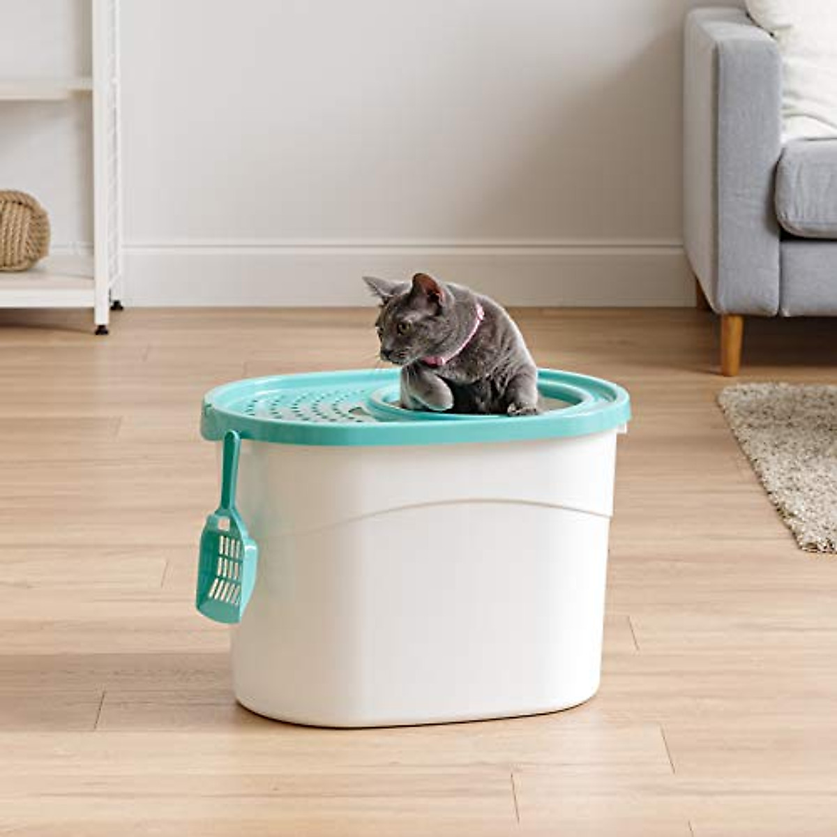 IRIS USA Oval Top Entry Cat Litter Box with Scoop, Kitty Litter Tray with Litter Catching Lid Less Tracking Dog Proof and Privacy Large, White/Seafoam