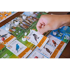Stonemaier Games: Wingspan Asia | Standalone Game or Expansion to Wingspan (Base Game) | Great for Solo Play or 2 Player | Add to Wingspan for 6-7 Player Expansion | 1-5 Players, 70 Mins, Ages 14+