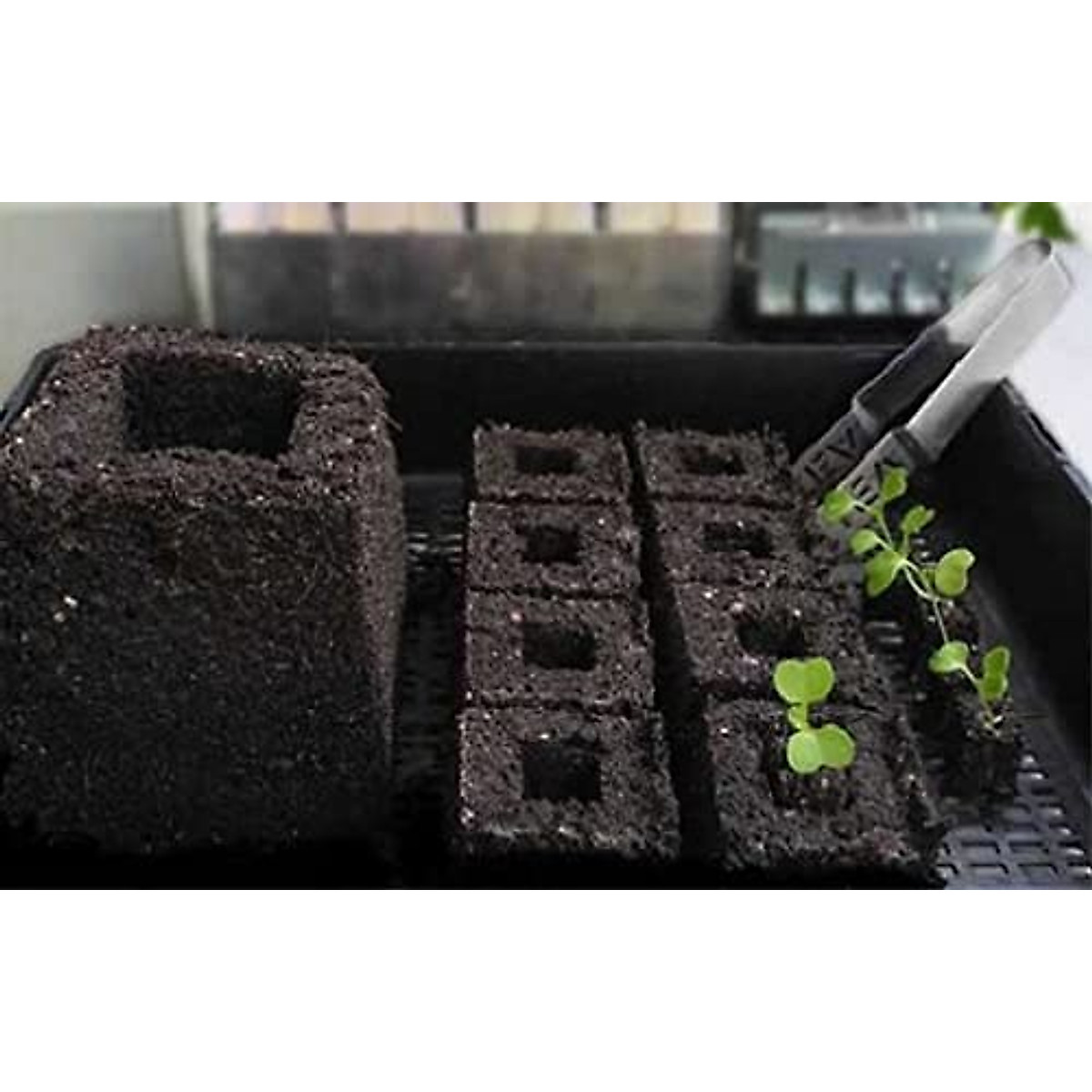 Ladbrooke Genuine Soil Block Maker - 6-Pc. Master Grower Nesting System Includes Maxi, Mini 4, Micro 20, Cubic Inserts, 1" Seed Dibbles, and Grow Tweezers, Made in England