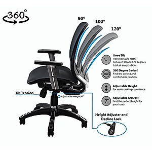 ErgoMax Lumbar Support, Mid-Back Mesh Adjustable Armrests, Home Office Ergonomic Chair, 42 Inch Max Height, Black