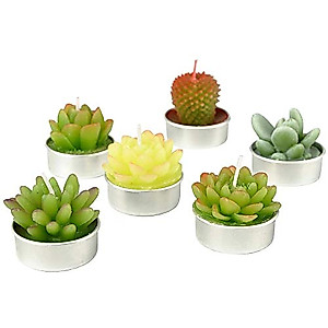 SSleng Cactus Tealight Candles, Handmade Delicate Succulent Cactus Candles（ Perfect for Birthday Party ,Wedding, Spa, Home Decor)