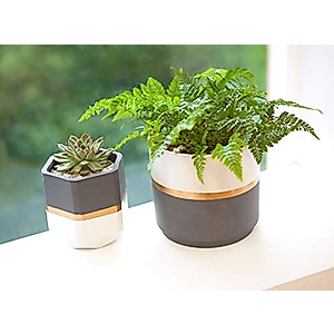 Mkono Ceramic Flower Pots for Indoor Plants 6 Inch and 4.8 Inch Modern Decorative Planters, Set of 2 Geometric Gardening Pots with Drainage for All House Plants (Plants NOT Included)