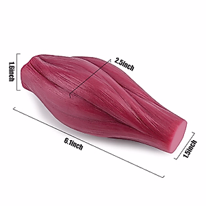 SimCoach Fat Replica 1 lb & Muscle Replica 1lb with Display Base, Great Motivator and Reminder for Fitness, Demonstration Model for Nutritionist, Anatomical Model for Medical Students