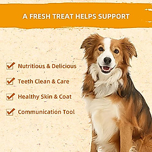 Jungle Calling Dog Treats Chicken Jerky Training Treats, Slow Roasted Snacks for Medium and Large Dogs Chewy Treats 10.6 Ounce (Chicken Sausage)