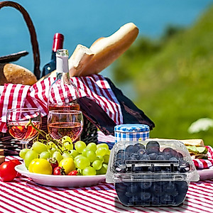 Plastic Berry Baskets (40-Pack) with Clamshell Lids 5-Inch Berry Boxes for Picking Blueberries Raspberries Strawberries Cherry Tomatoes