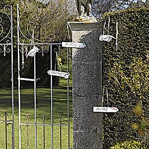 Talking Tables Truly Alice Mad Hatter Scene Setter Signs for a Tea Party or Wedding, Multicolor (8 Pack)