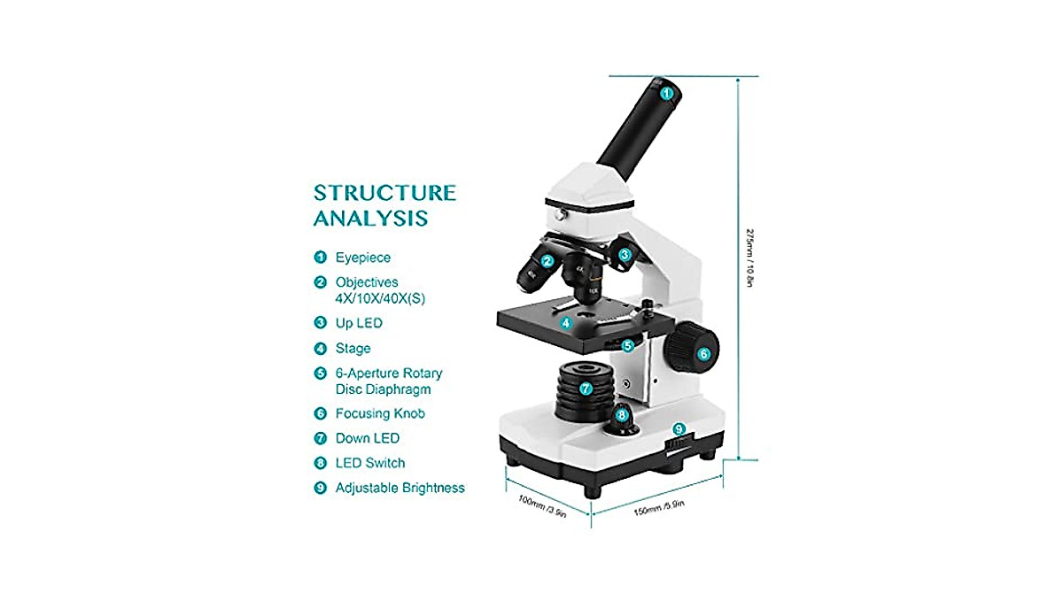 CZDYUF 64X-640X Professional Biological Microscope Up/Down LED ...