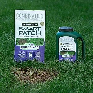 Pennington Smart Patch Dense Shade Mix Jug 5 lb