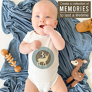 16 Monthly Baby Milestone Stickers Boy - Deer Baby Monthly Milestone Stickers for Baby Boy, Milestone Baby Monthly Stickers, Baby Month Stickers for Baby Photo Props, Monthly Baby Stickers Boy