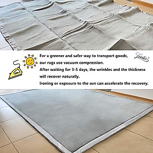 Loartee Nursery Rug Coral Velvet Crawling Rugs Mat Area Rugs Play Crawling Mat(4'9"x4'9", Gray) for Toddler Children Play Mat Yoga Mat Exercise Pads Carpet