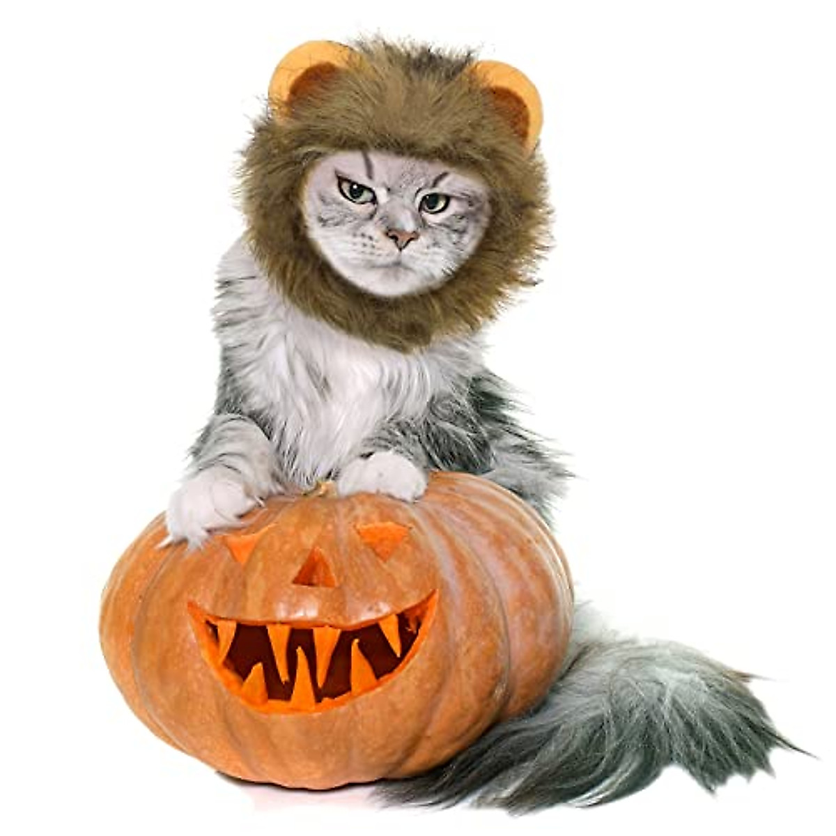 2 Pieces Pet Lion Mane Wig Hat Costume for Kittens Small Cats Puppy Dogs Halloween Party Apparel Accessories Holiday Headwear Cosplay Dress up Clothes Pet Outfit Gifts for Cat Dog Lovers (Small)
