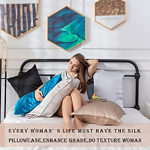 Natural Mulberry Silk Pillowcase for Hair and Skin Standard Size 20"X 26" with Hidden Zipper Soft Breathable Smooth Cooling Silk Pillow Covers(Silver Grey,Standard,1Pcs)