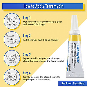 TERRAMYCIN + BUNKERBOX |Antibiotic Eye Ointment w/ Metal Box Bundle - 3.5g Tube | Infection Treatment for Dogs, Kittens, & Horses Shipped in Metal Box
