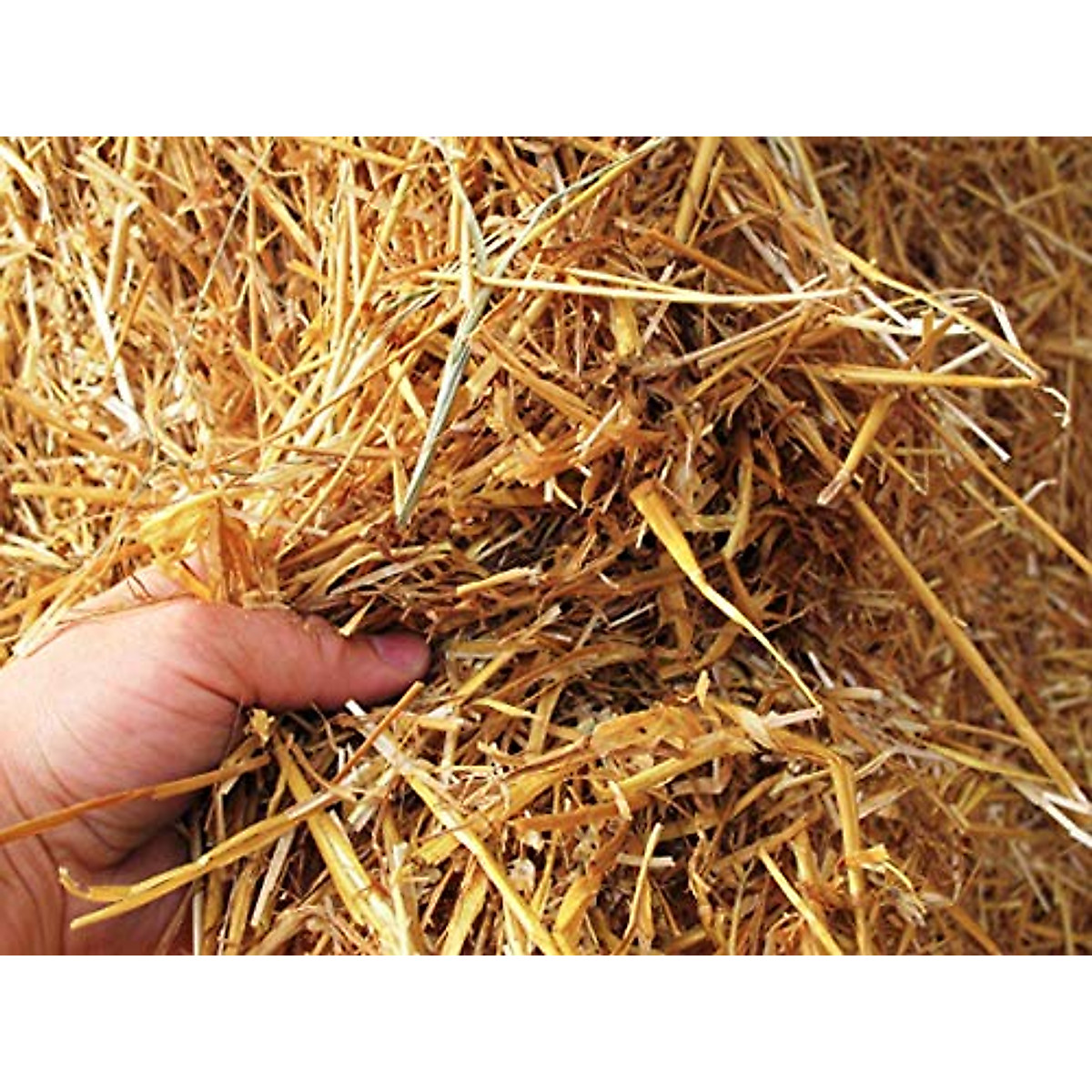 1 Cubic Foot of 100% All Natural Wheat Straw (4lbs)
