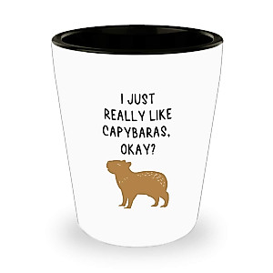 SpreadPassion Capybara Shot glass - I just really like capybaras Okay
