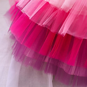 Flower Baby Girl Lace Dress Toddler Tulle Sleeveless Bow Princess Party Wedding Pageant Bridesmaid (Pink.4-5 T)