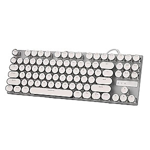 USB Wired Mechanical Keyboard, 87 Keys Full Size Compact Keyboards, Waterproof Gaming Keyboard with 26 RGB Color Backlights for Desktop PC and Laptop, Full Key No Collision (White Electroplating Punk)