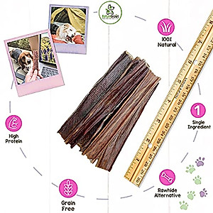 Nature Gnaws Beef Jerky Chews for Small Dogs - Premium Natural Beef Gullet Sticks - Simple Single Ingredient Tasty Dog Chew Treats - Rawhide Free - 4-5 Inch (20 Count)
