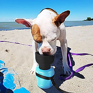 Dog Water Bottle 14oz, Leak Proof Pet Water Bottle for Dogs Portable Puppy Water Dispenser Foldable 2-in-1 Design, Lightweight & Convenient for Walking Travel Outdoor BPA Free (3rd Gen, Blue)
