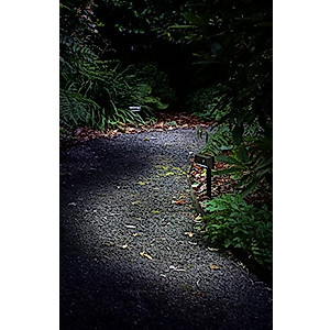 LIGHT IT! By Fulcrum, 20033-107 LED Garden and Path Light, Bronze, Single pack