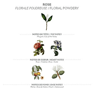 Panier des Sens – Rose Shower Gel - Foaming Body Wash Women & Men - Moisturizing Body Soap with Shea Oil - 96% Natural Ingredients Body Care - Vegan Liquid Body Wash - 8,45 floz