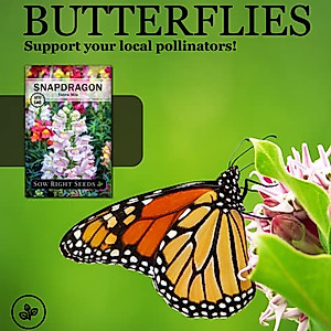 Sow Right Seeds - Tetra Mix Snapdragon Flower Seeds for Planting, Beautiful Flowers to Plant in Your Garden; Non-GMO Heirloom Seeds; Wonderful Gardening Gifts (1)